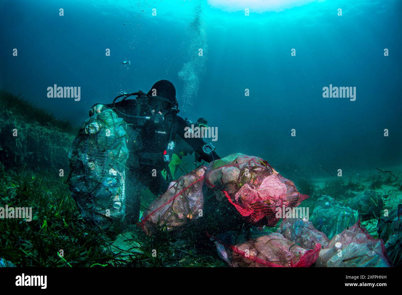 Scuba diver removing plastic marine litter from the sea bed. Mljet National Park, Mljet Island ...
