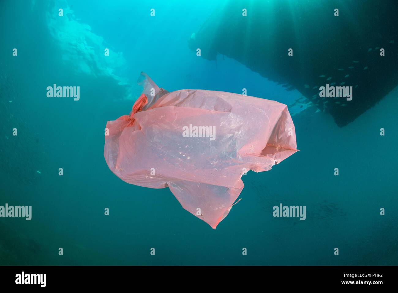 Plastic bag floating in the ocean beneath boats. Ambon Bay, Ambon ...