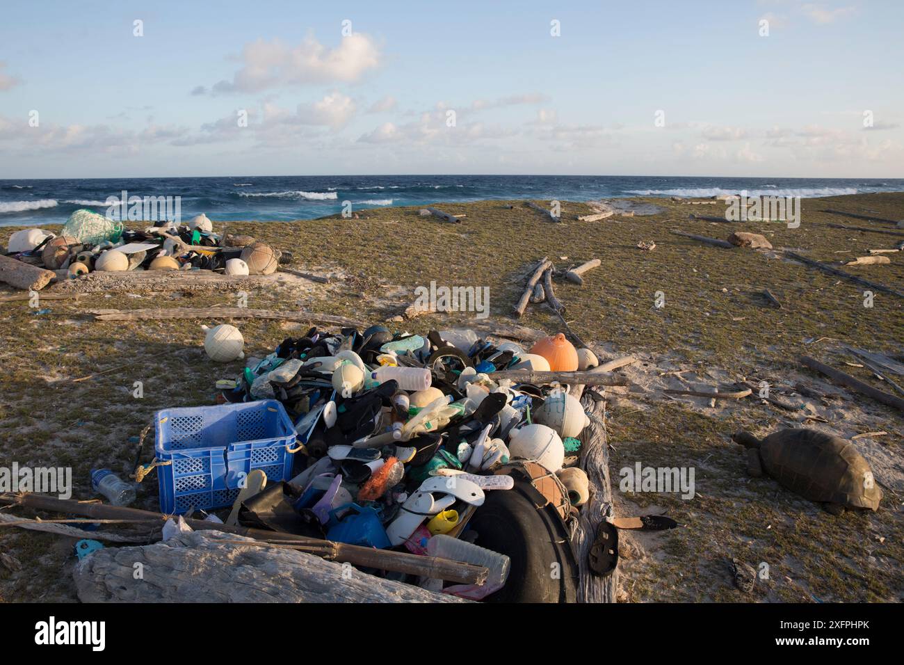 Marine litter - mostly shoes flip flops) and plastic bottles washed up ...