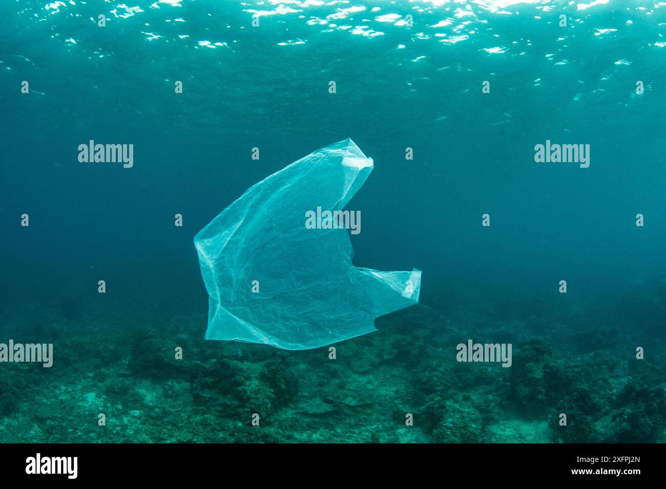 Plastic bag floating in the ocean, Lesser Sunda Islands, Indonesia ...