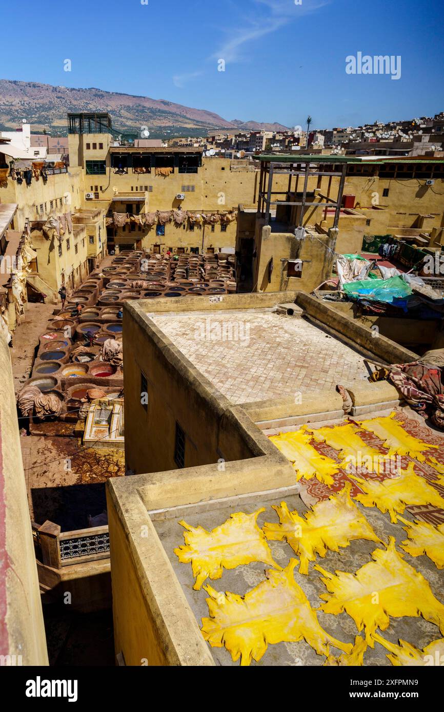 Historic moroccan tannery hi-res stock photography and images - Alamy
