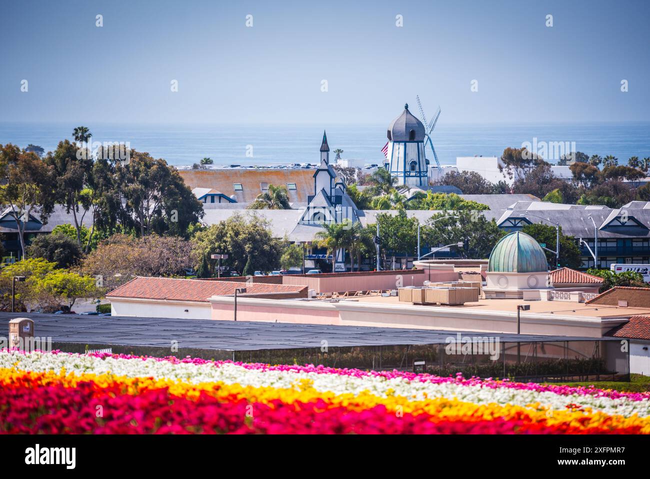Flower field carlsbad hi-res stock photography and images - Alamy