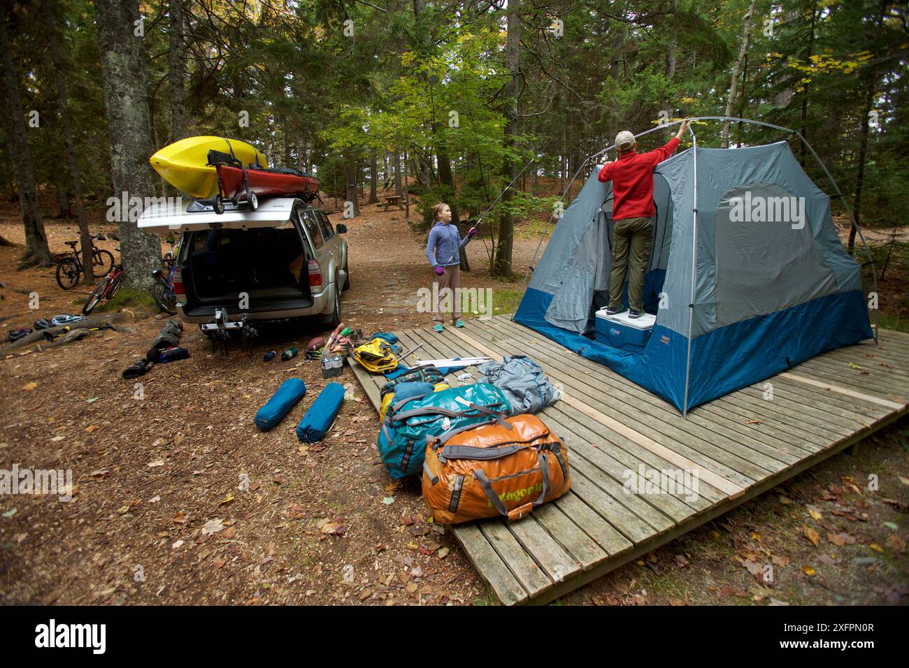 Family setting up tent in forest, Acadia National Park, Maine, USA ...