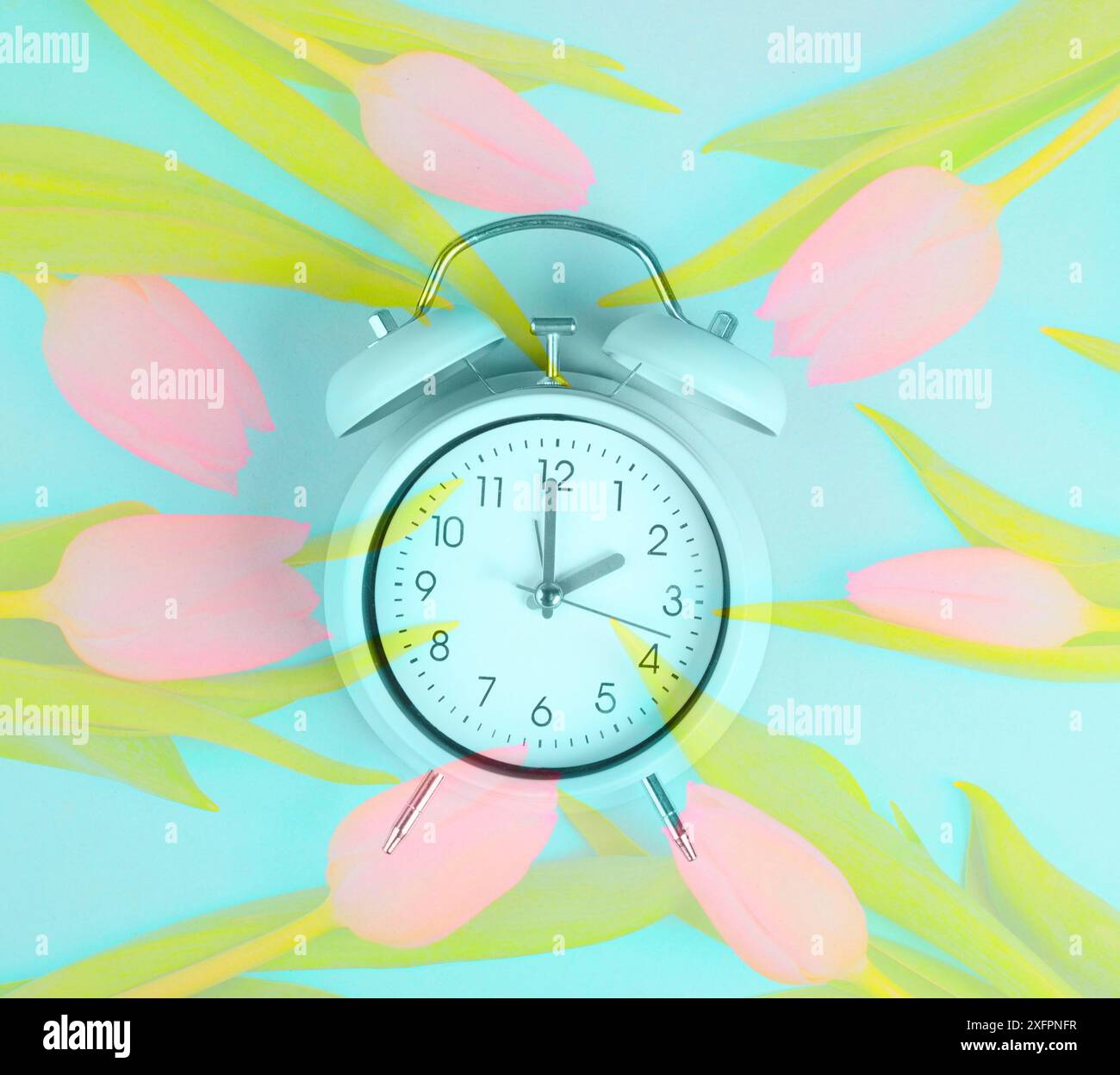 Alarm clock with tulips, switch to daylight saving time in spring ...
