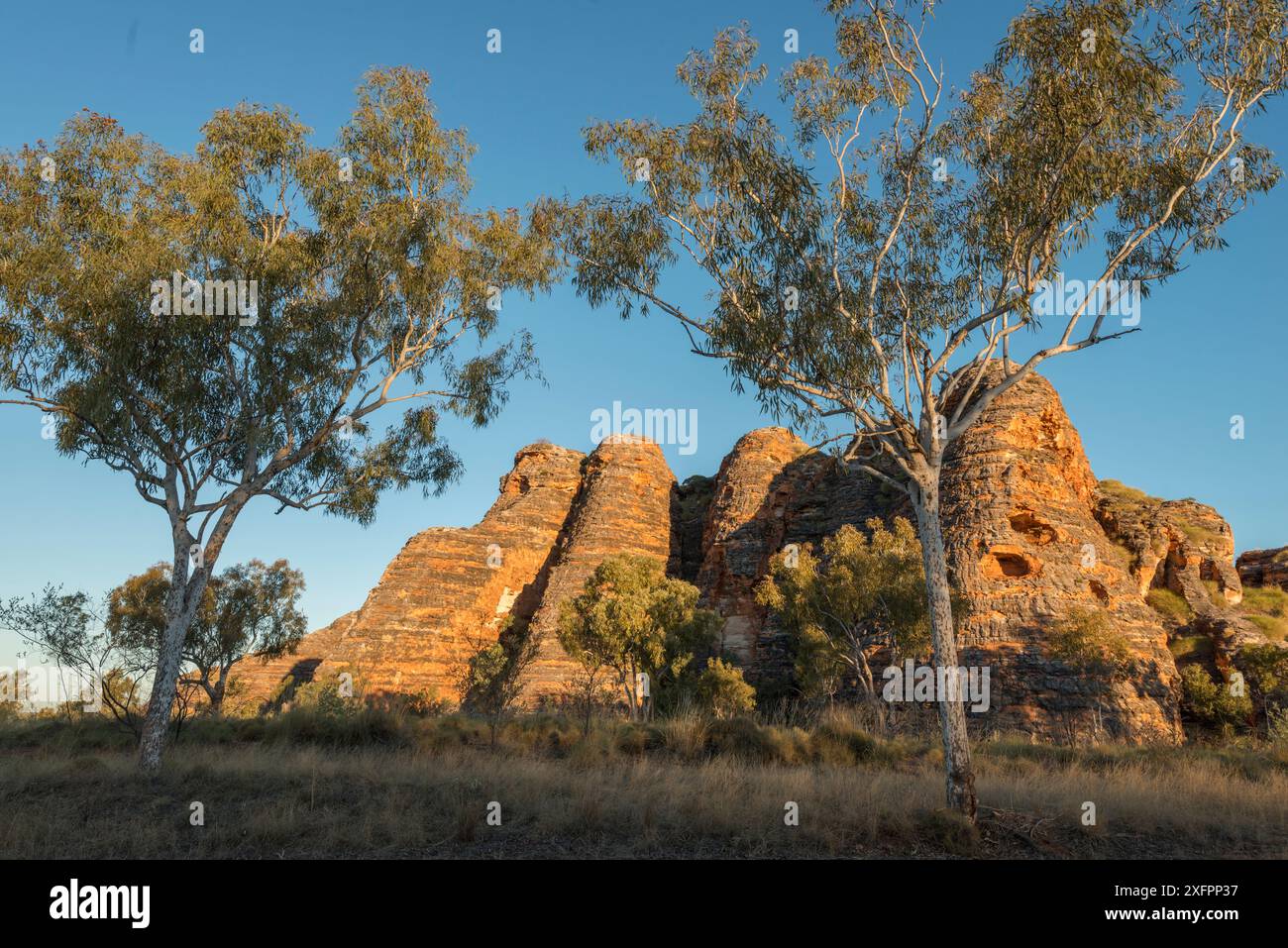 Bungle Bungle Range, beehive shaped karst sandstone formation formed by ...