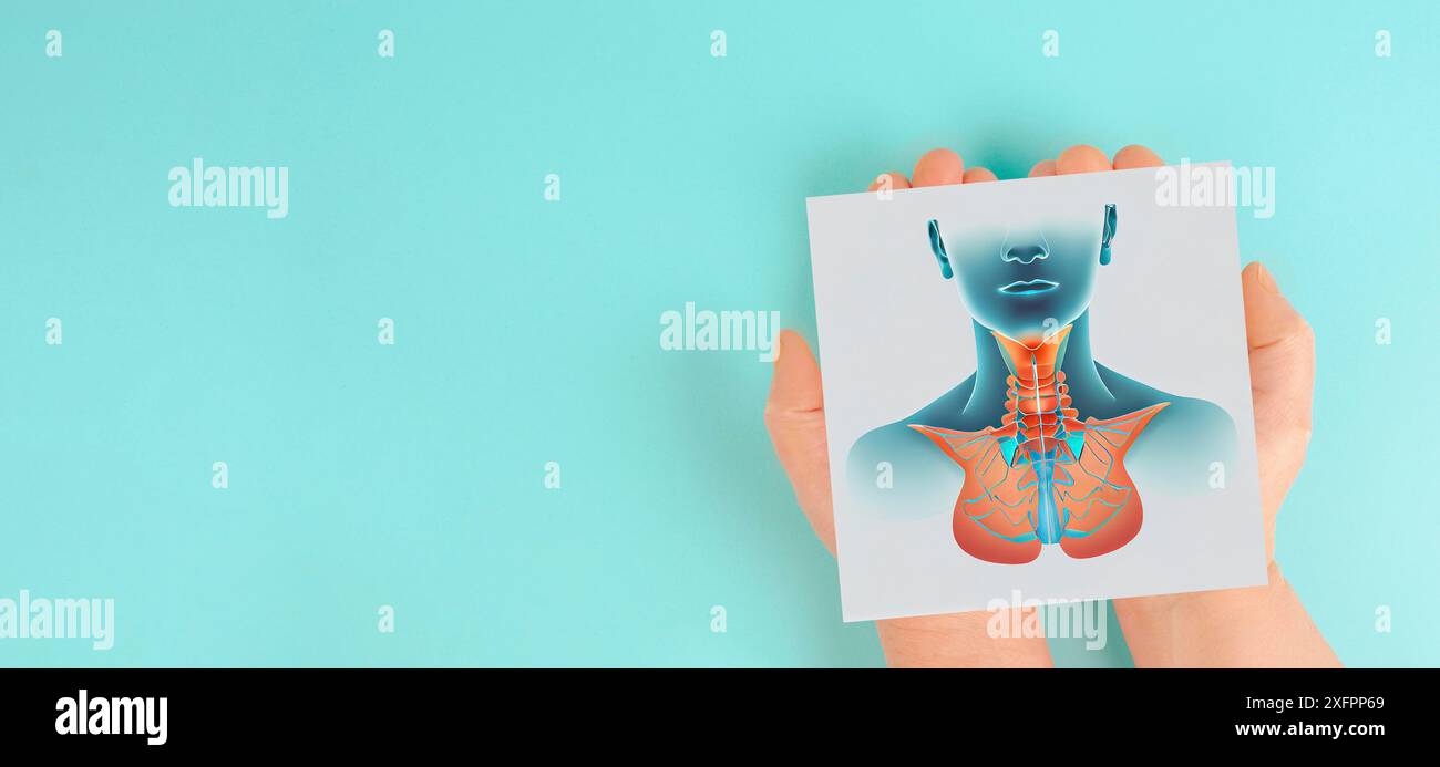 Holding thyroid organ in the hands, hyperthyroidism and hypothyroidism ...