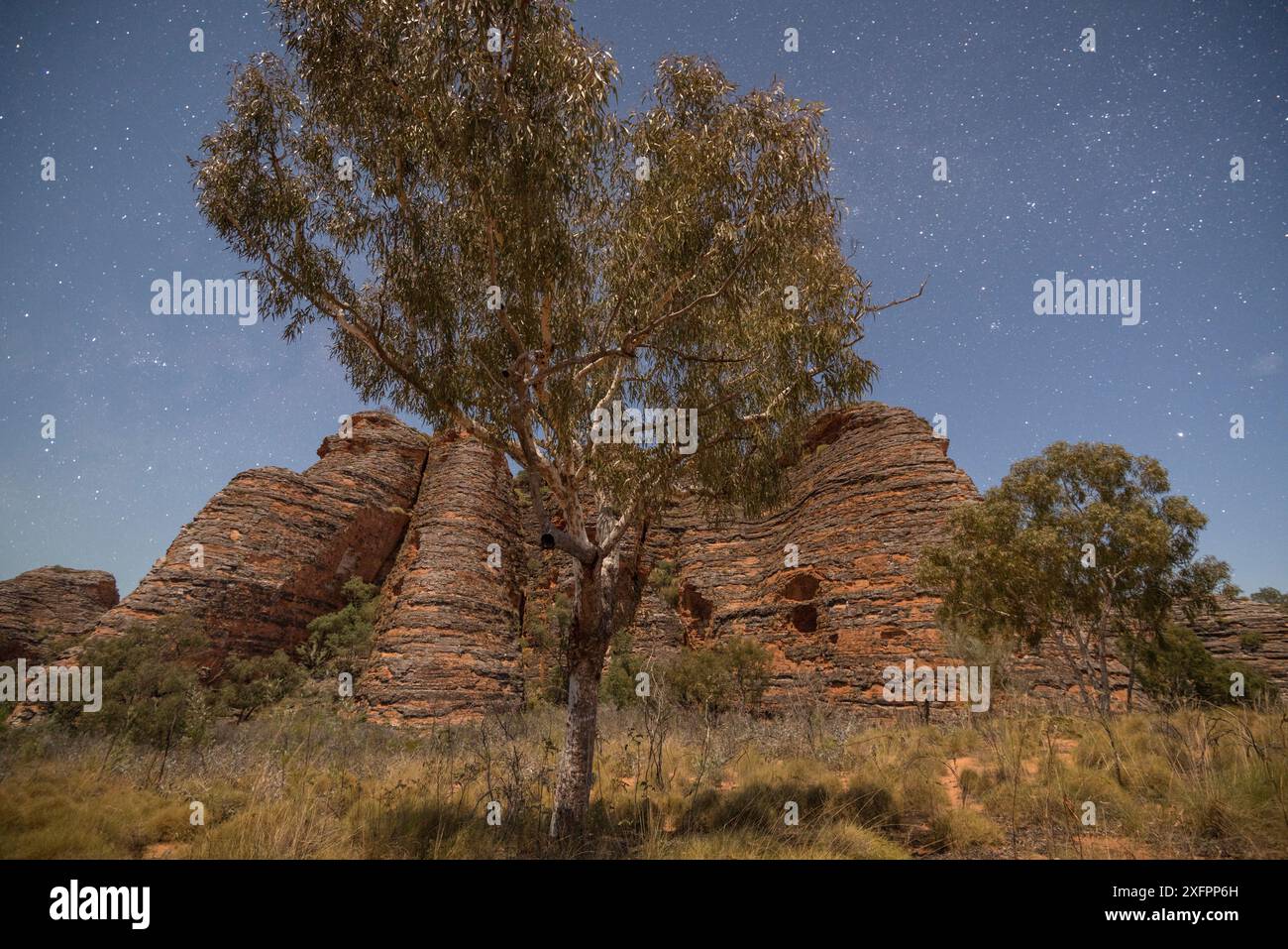 Bungle Bungle Range, beehive shaped karst sandstone formation formed by ...