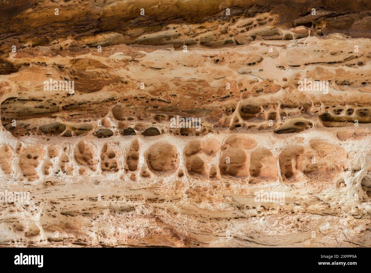 Dark bands, formed by cyanobacteria on beehive shaped karst sandstone ...