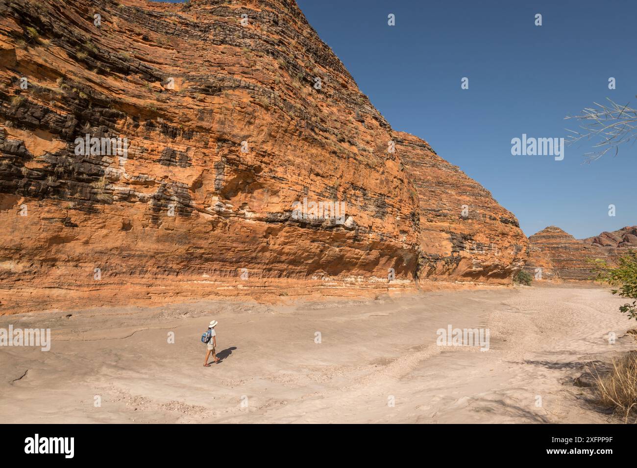 Bungle Bungle Range, beehive shaped karst sandstone formation formed by ...