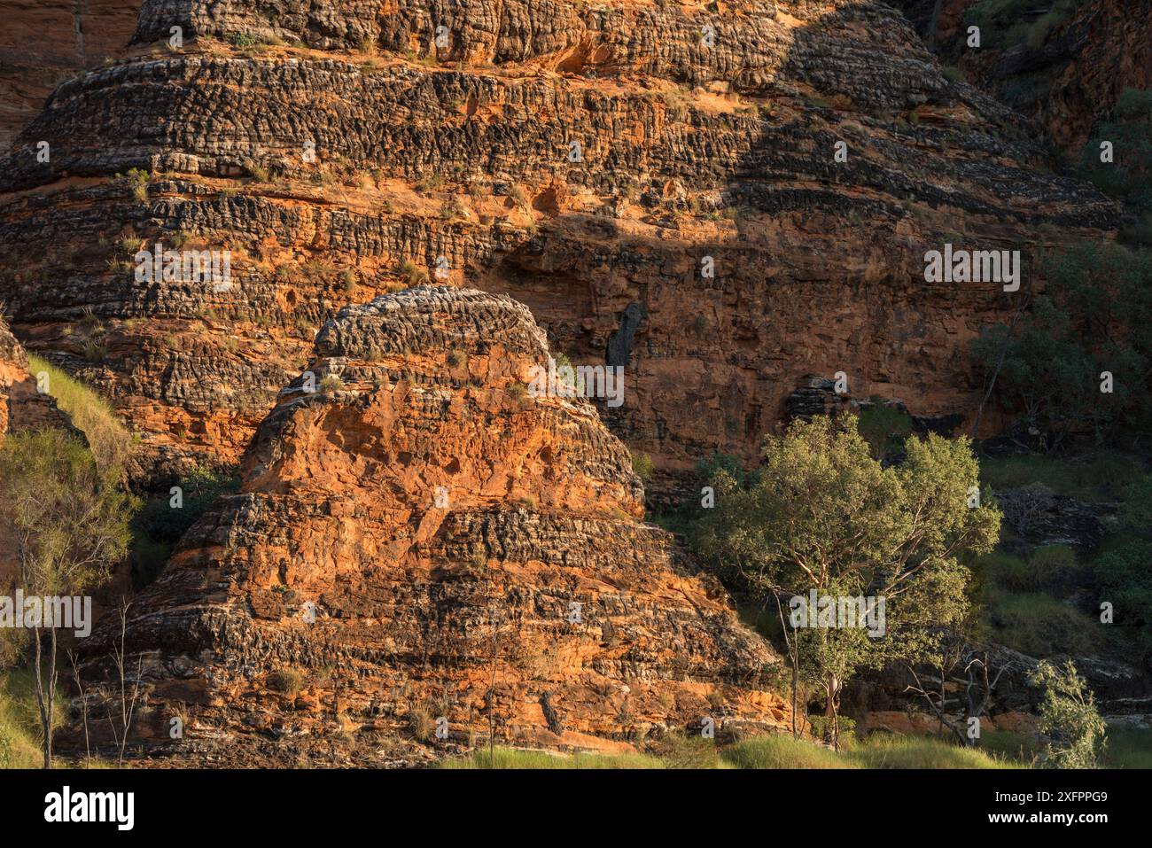 Bungle Bungle Range, beehive shaped karst sandstone formation formed by ...