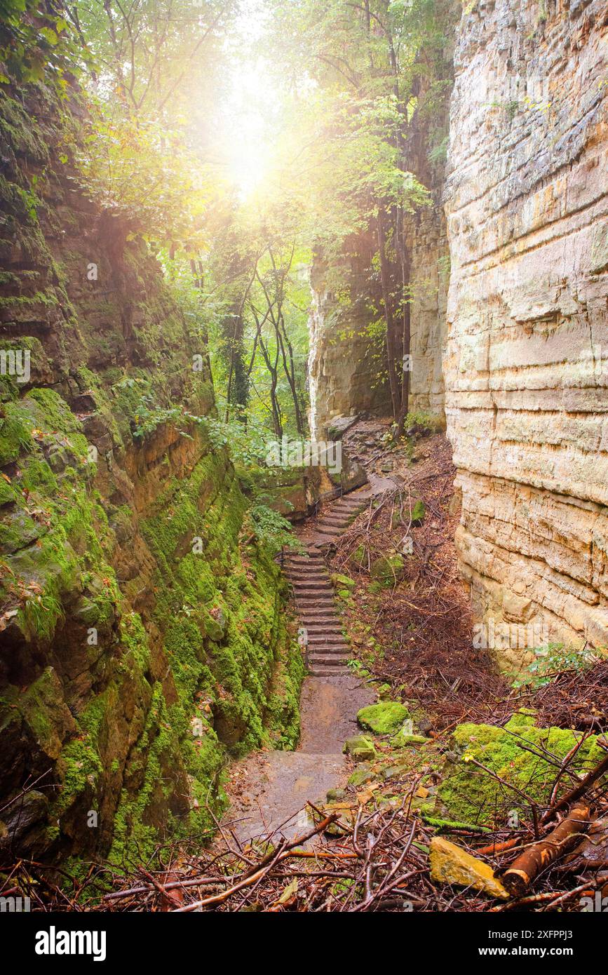 Gorges du loup or Wolfsschlucht on the Mullerthal trail near Echternach ...