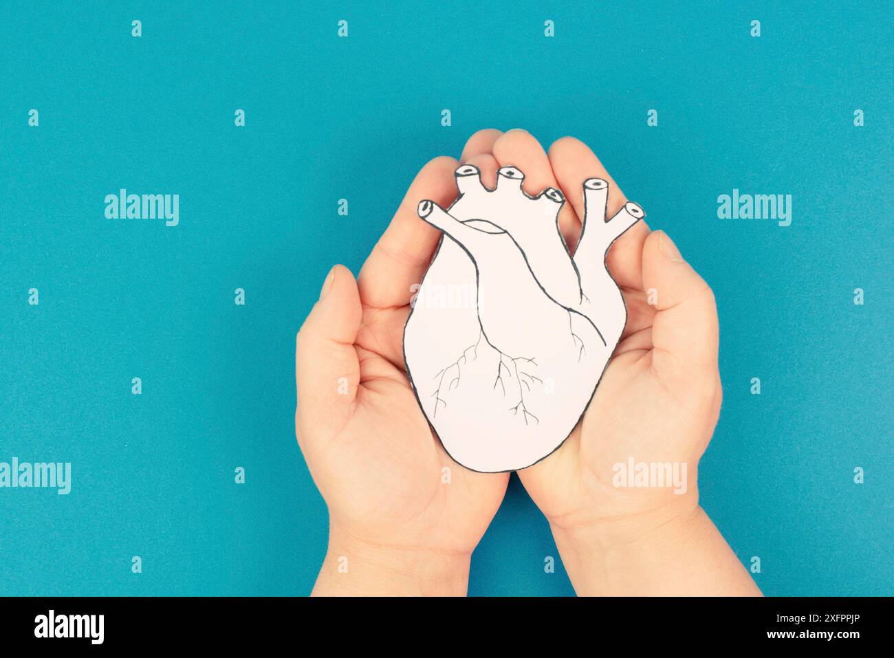 Heart attack, Myocarditis disease, inflammation of the muscle ...