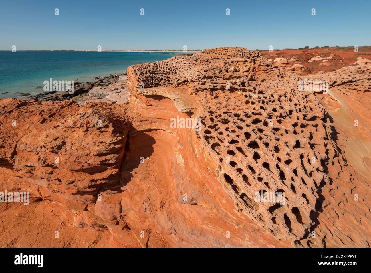 Honeycomb formation on the red rocks caused by erosion, Gantheaume ...