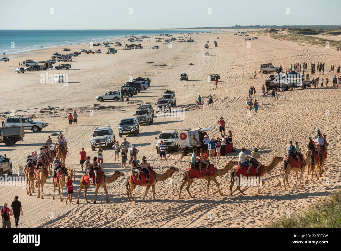 Cable Beach with people riding Dromedary camels (Camelus dromedarius ...