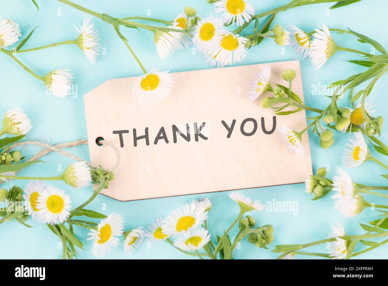 Thank you card surrounded by flowers, being thankful, support, help and ...