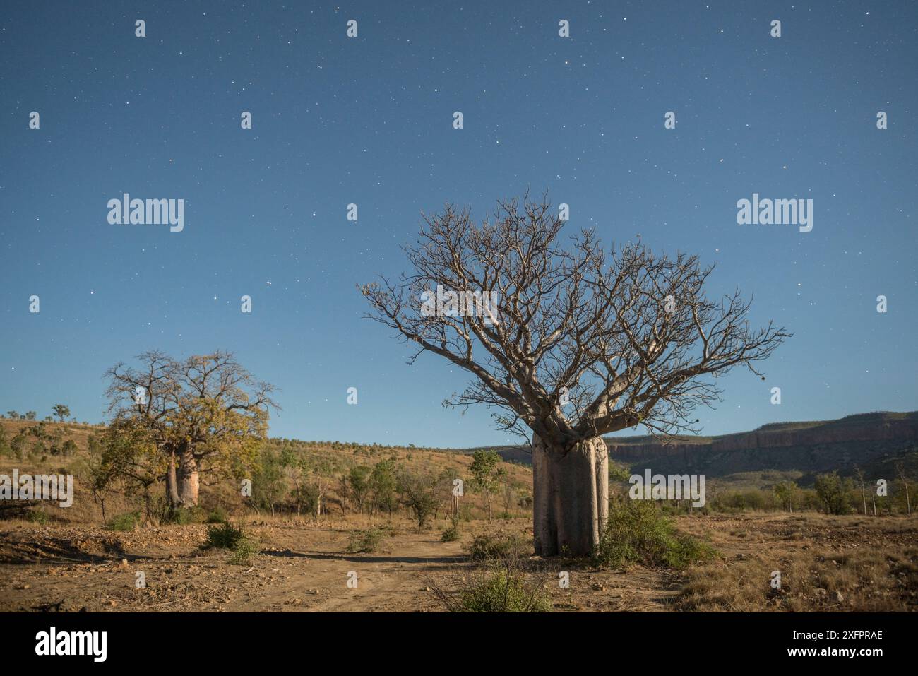 Kimberley ranges hi-res stock photography and images - Alamy