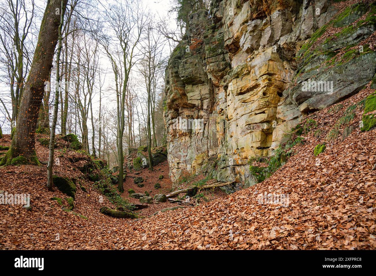 Devil Gorge at the Eifel, Teufelsschlucht with mighty boulders and ...