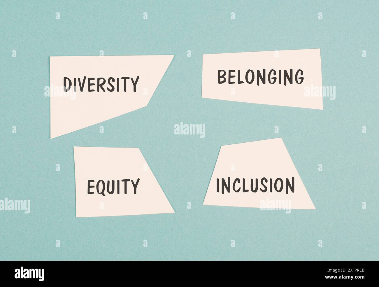 Diversity, equity, belonging and inclusion, human rights, fairness and ...