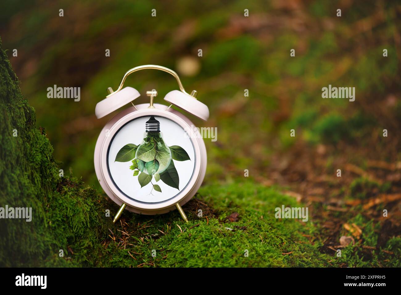 World earth hour, alarm clock stands in the forest, turn off lights ...