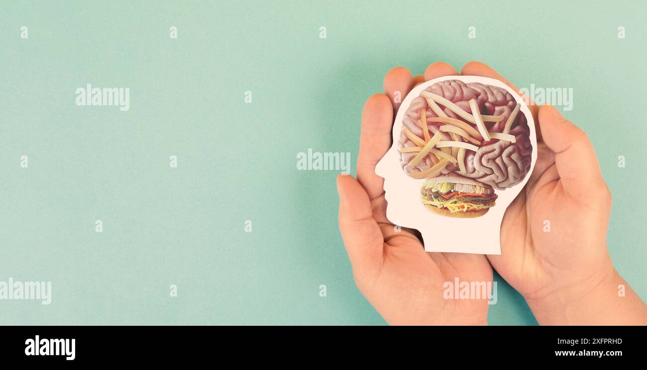 Brain made from fast food, like a hamburger, unhealthy eating and ...