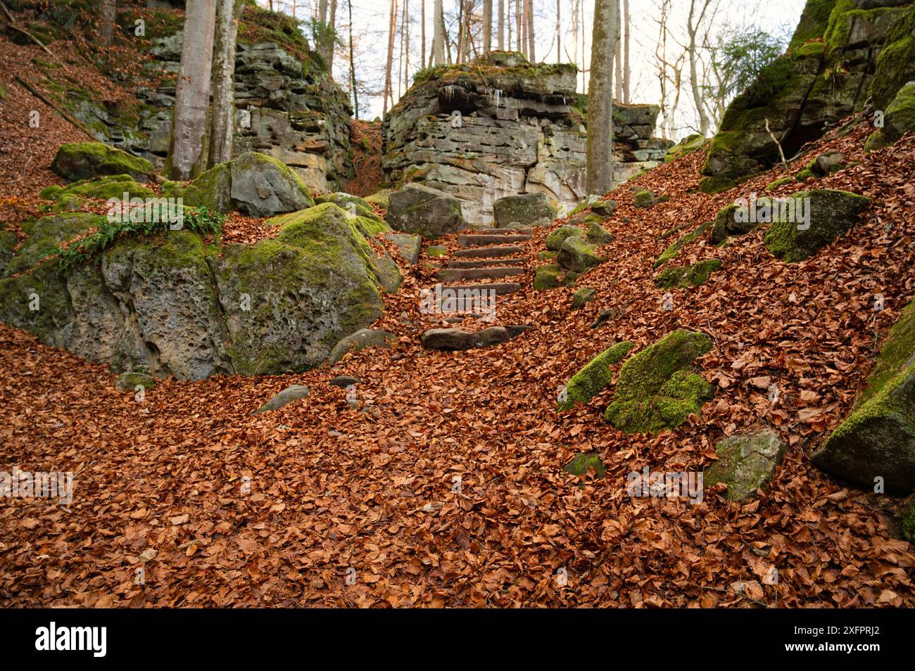 Devil Gorge at the Eifel, Teufelsschlucht with mighty boulders and ...