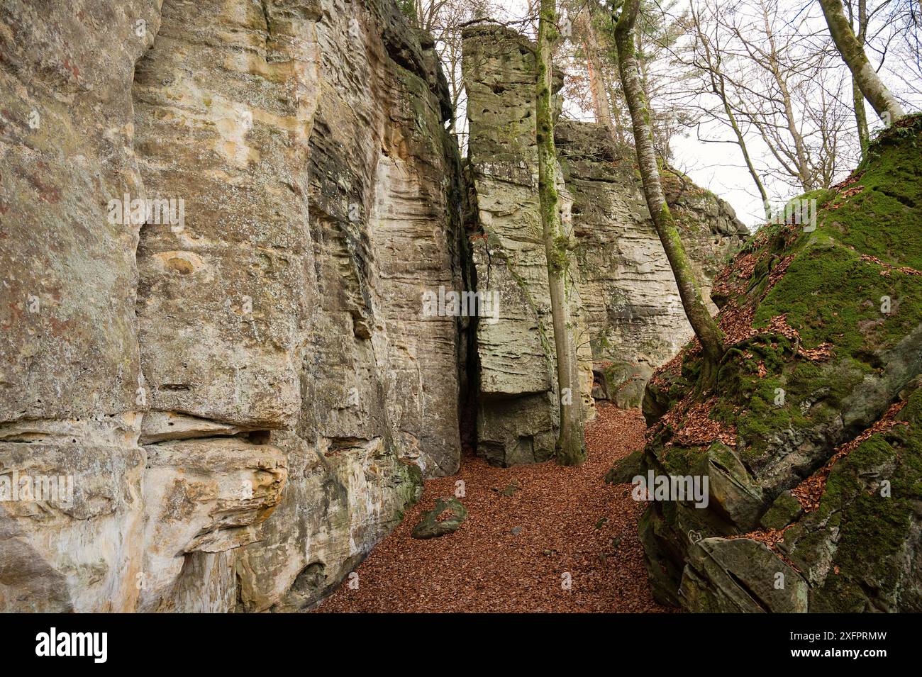 Devil Gorge at the Eifel, Teufelsschlucht with mighty boulders and ...
