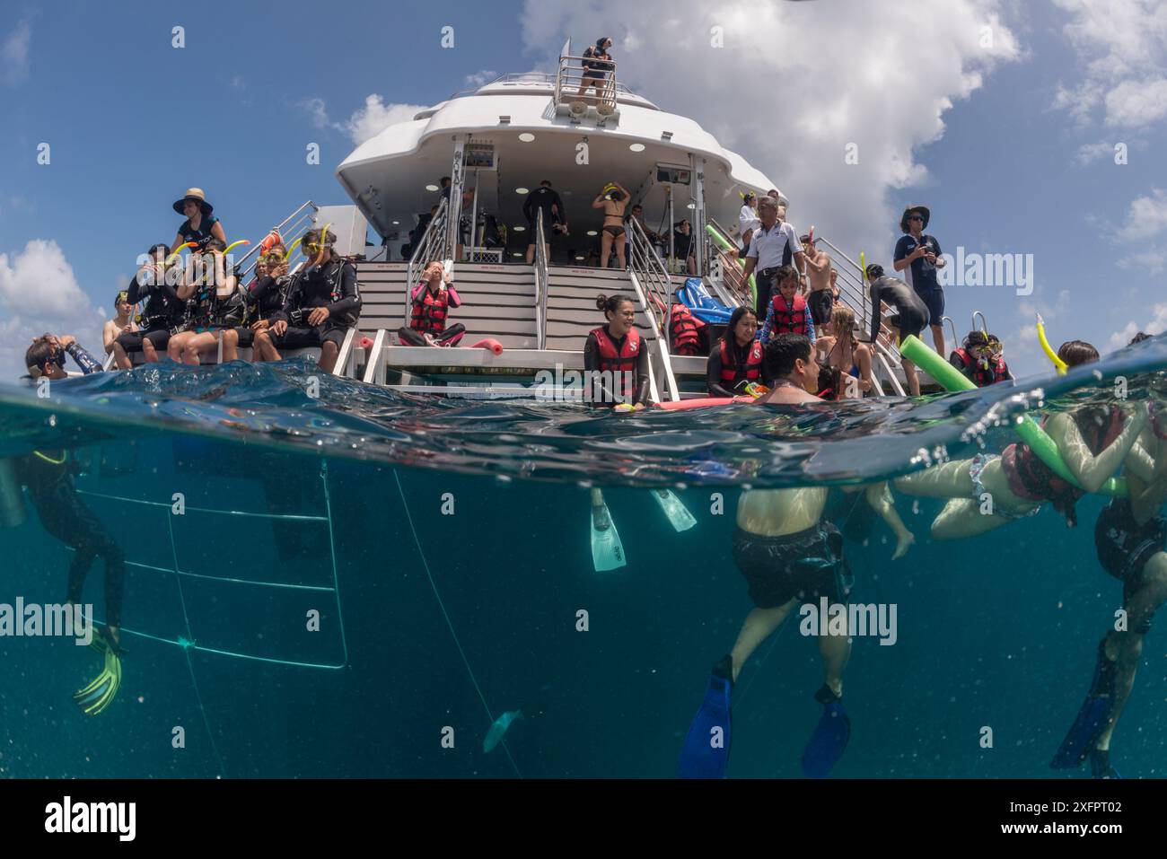 Split level of snorkellers swimming the reefs of the Great Barrier Reef ...
