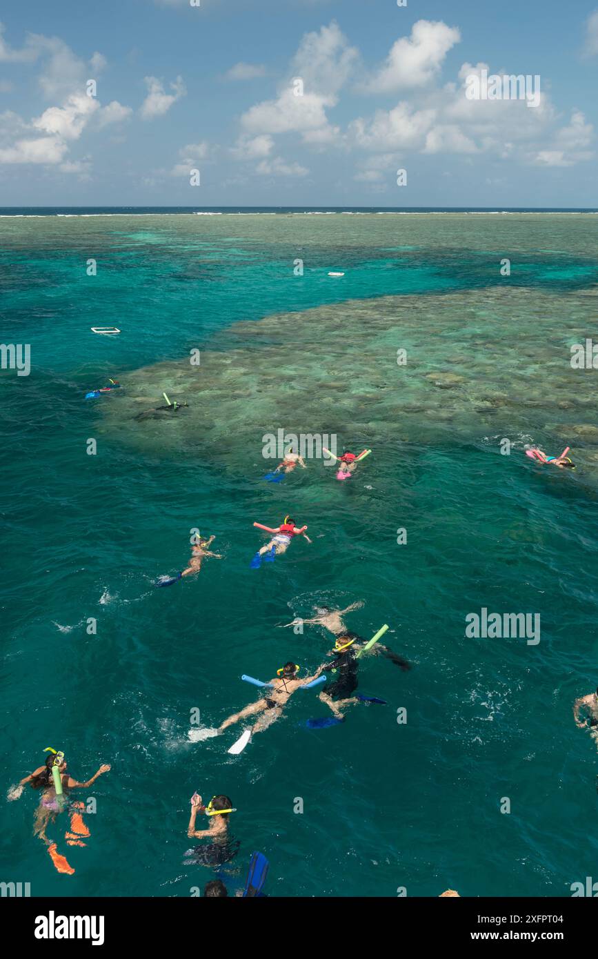 Snorkellers swimming the reefs of the Great Barrier Reef, Queensland ...