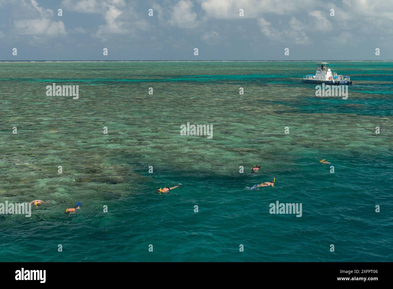 Snorkellers swimming the reefs of the Great Barrier Reef with a semi ...