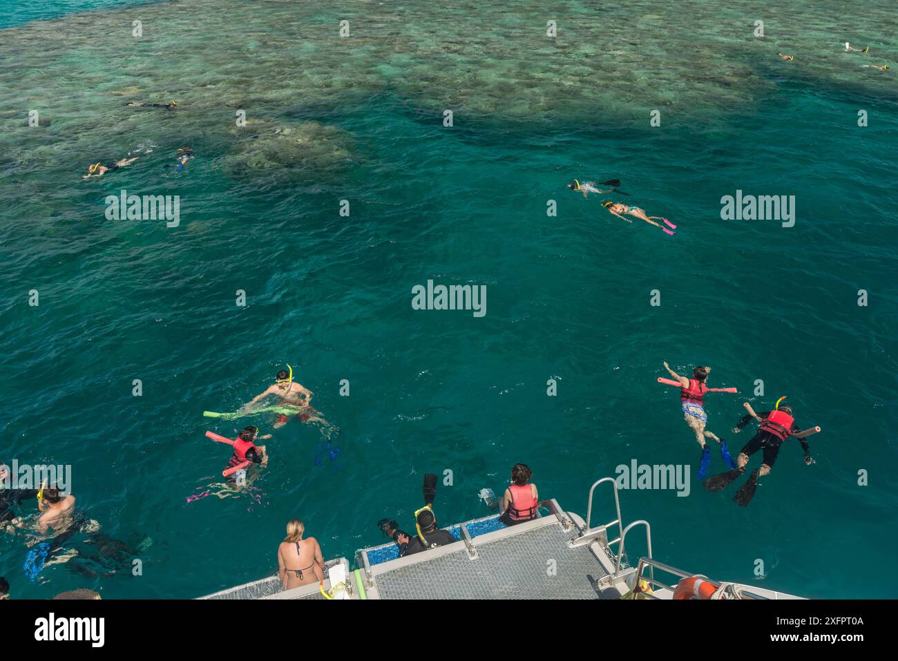 Snorkellers swimming the reefs of the Great Barrier Reef with a semi ...