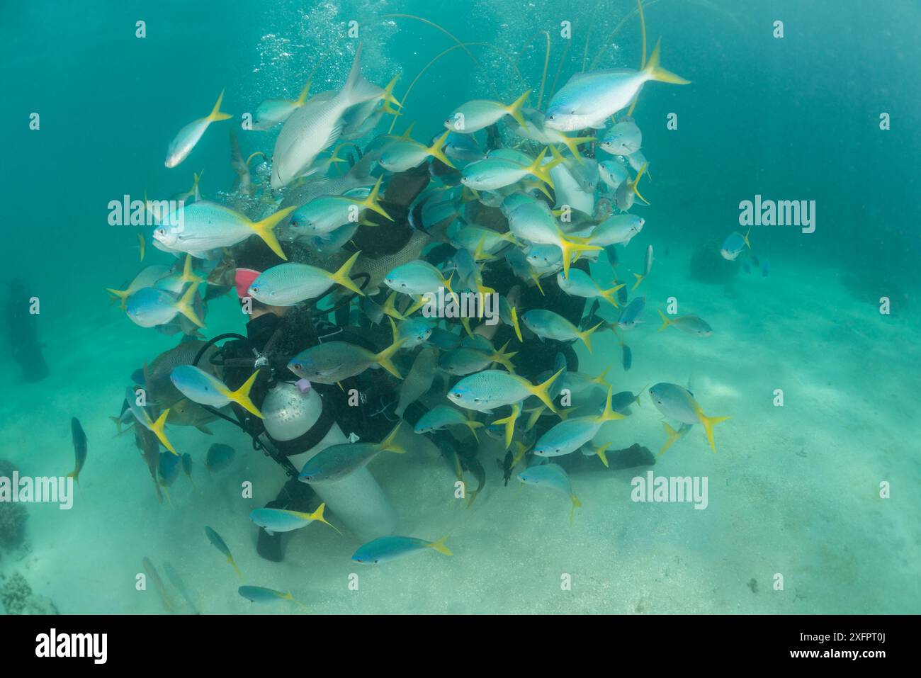 Tourists helmet diving and walking around the shallow reefs of Green ...