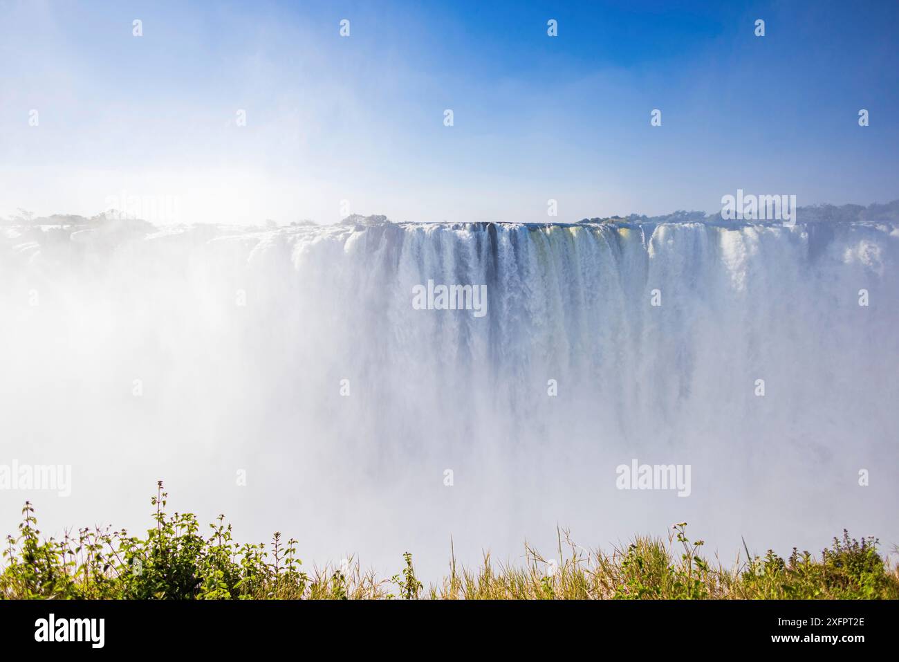 Zambian nature hi-res stock photography and images - Alamy