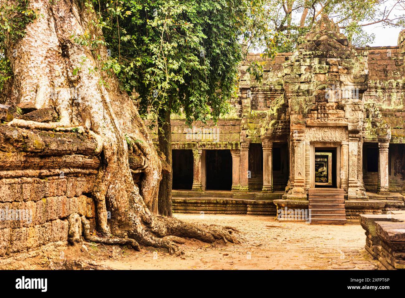 Ta Prohm temple, the film location for Tomb Raider Stock Photo - Alamy