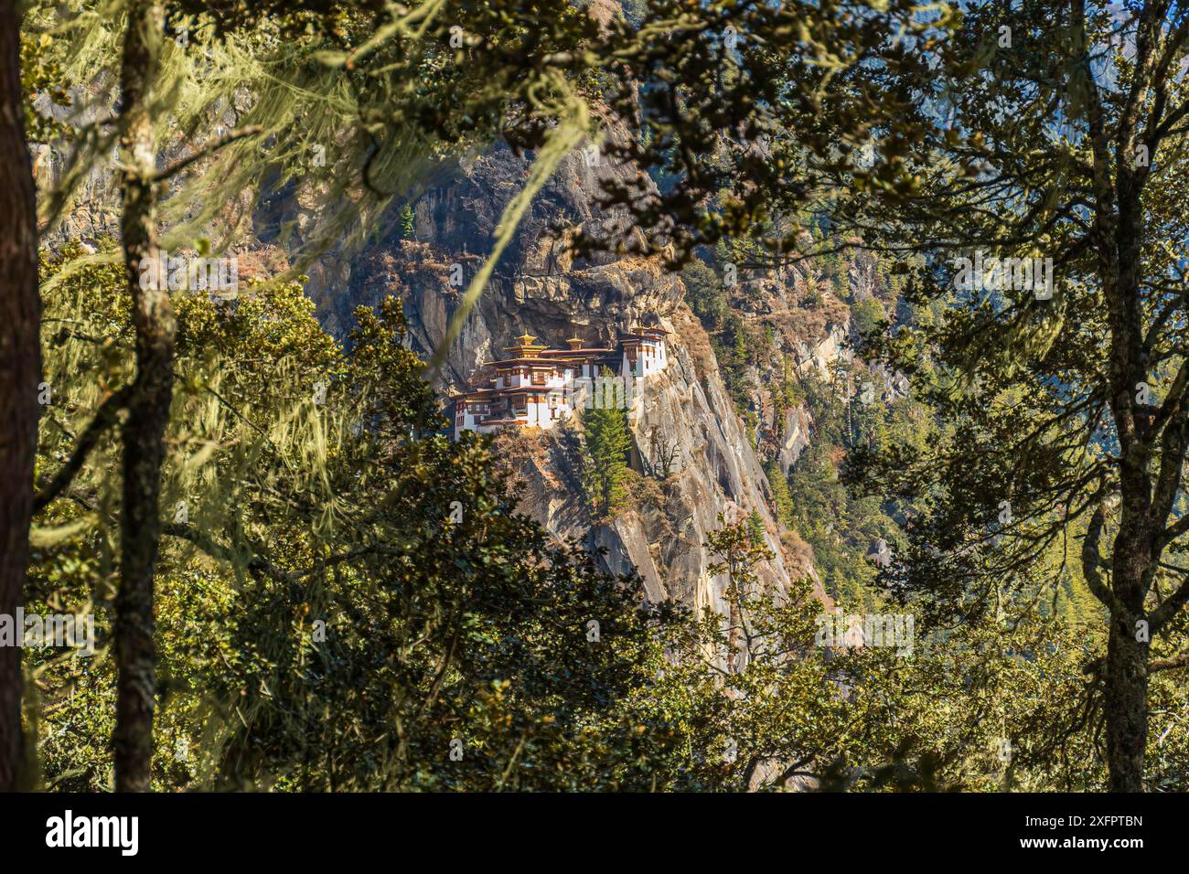 Taktshang Goemba Dzong in a mountain cliff Stock Photo - Alamy