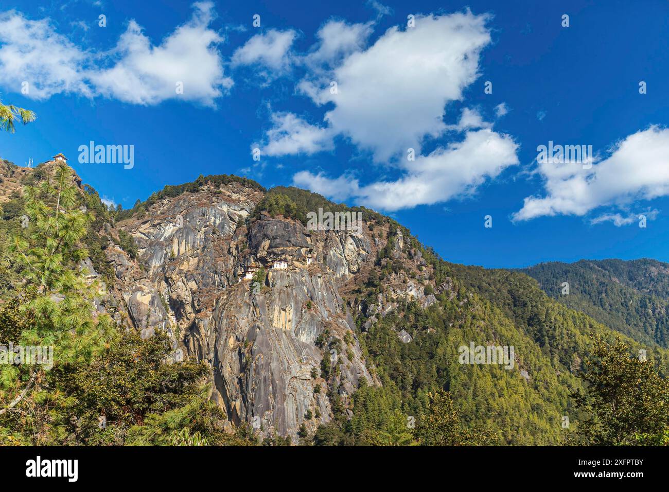 Taktshang Goemba Dzong in a mountain cliff Stock Photo - Alamy