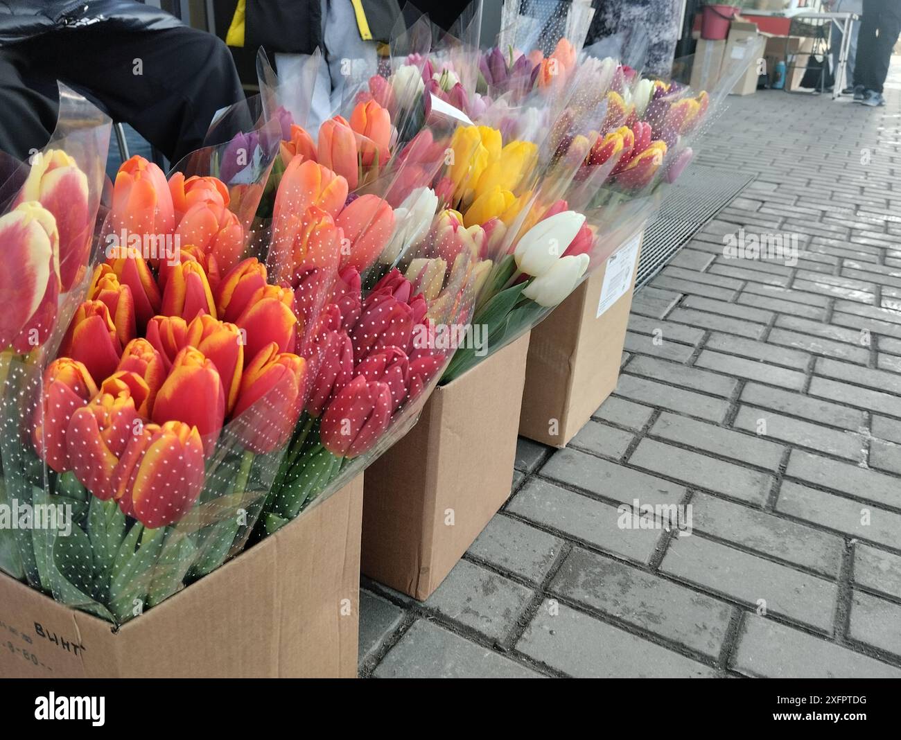 Showcase with flowers of tulips in boxes. Festive trade flower fair ...