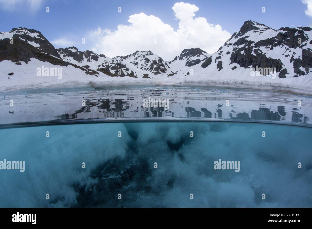Split level underwater view hi-res stock photography and images - Alamy