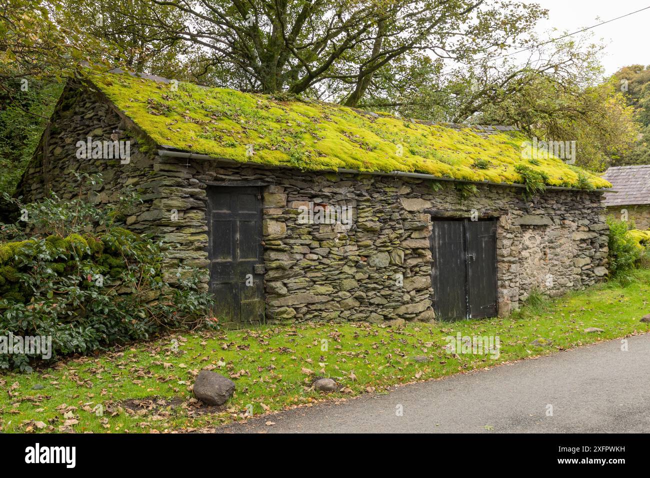 Europe, United Kingdom, England, Cumbria, Bampton. Moss-covered, stone ...