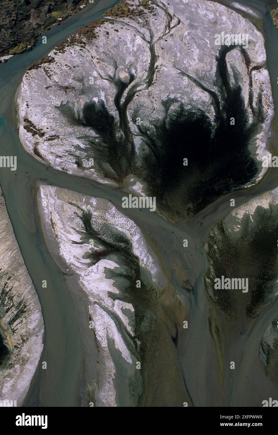 Aerial view of a delta of the Rhone River, Camargue, France, August ...