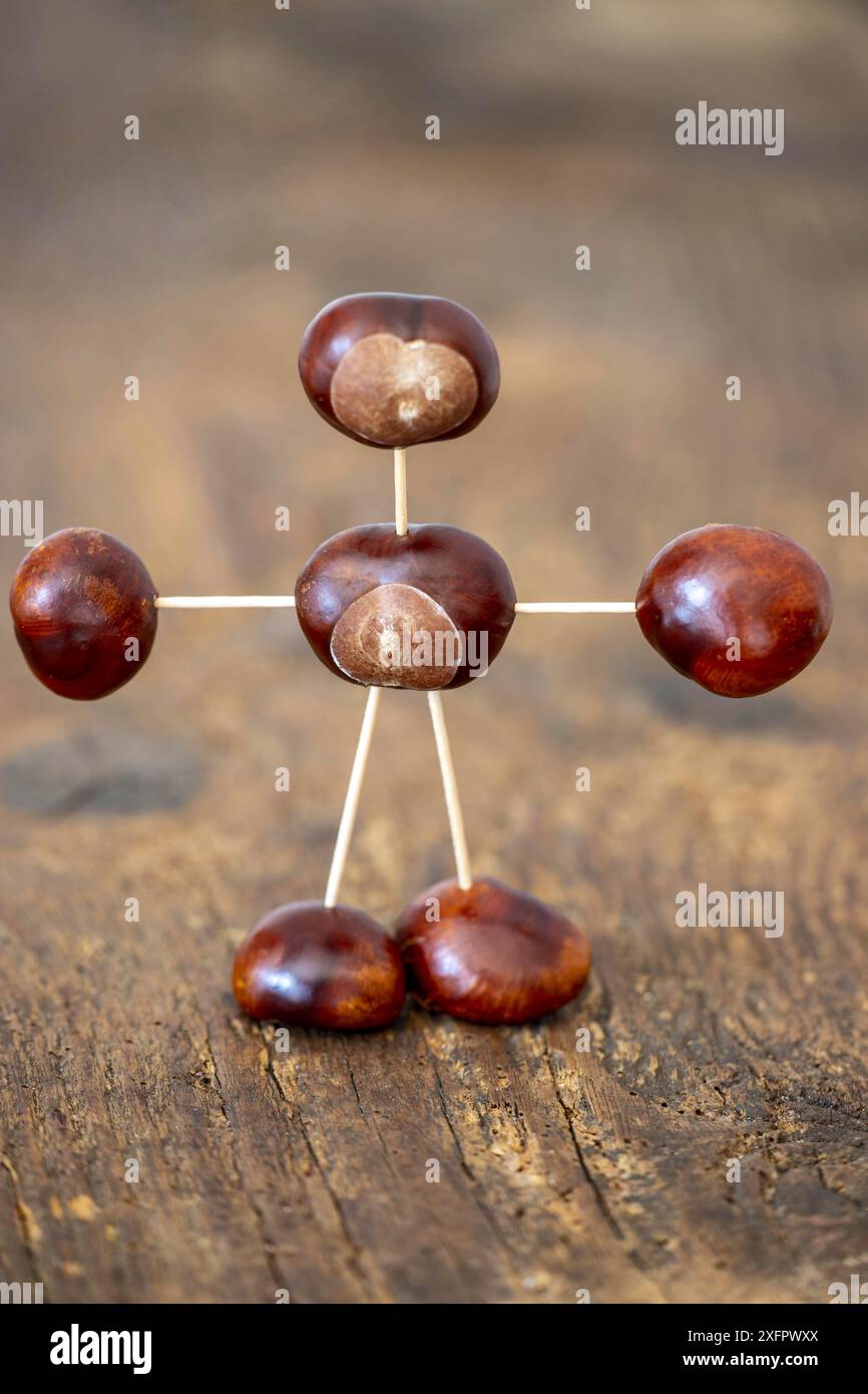 Dark chestnut hi-res stock photography and images - Alamy