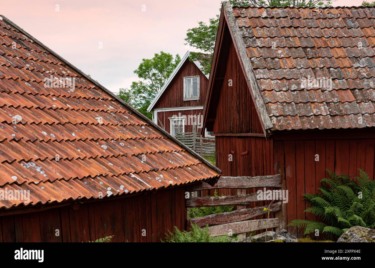 Typical swedish village with red wooden houses in the landscape of ...