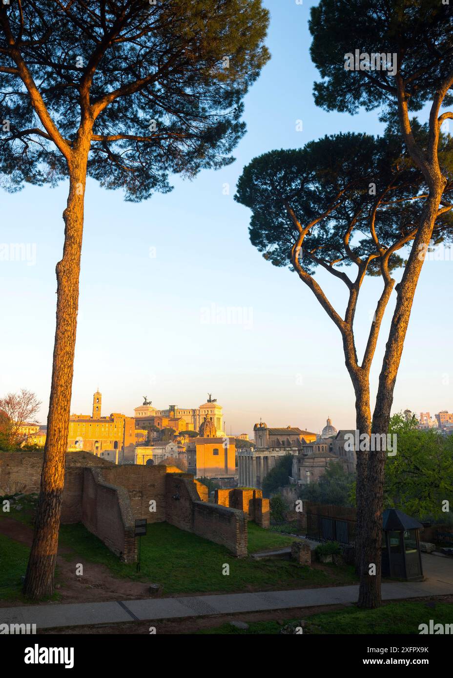 Roman Forum ruins, Rome, Italy. Aerial vertical view of famous tourist ...