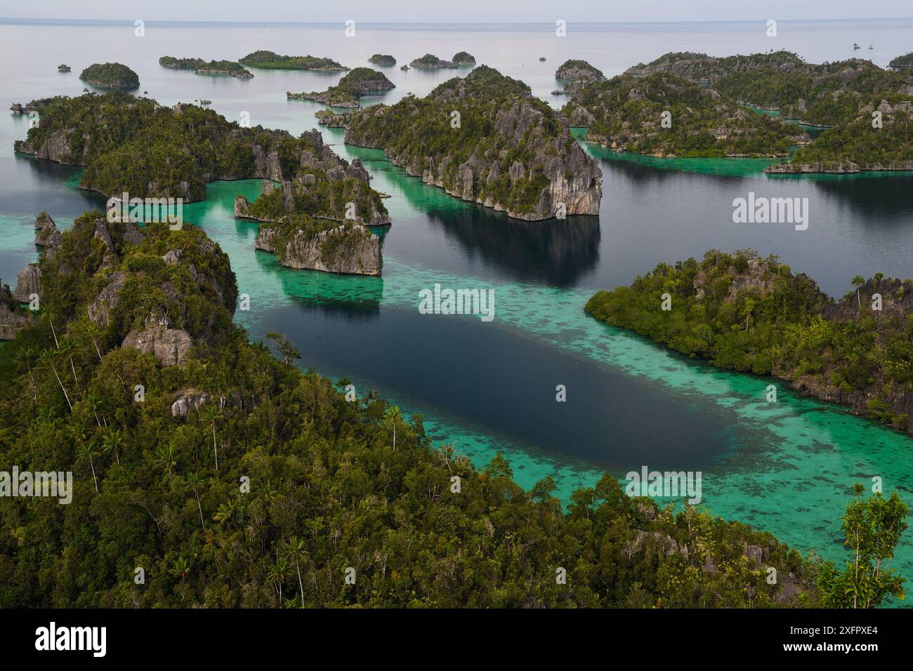 Karst islands in Misool archipelago, Raja Ampat, Western Papua ...