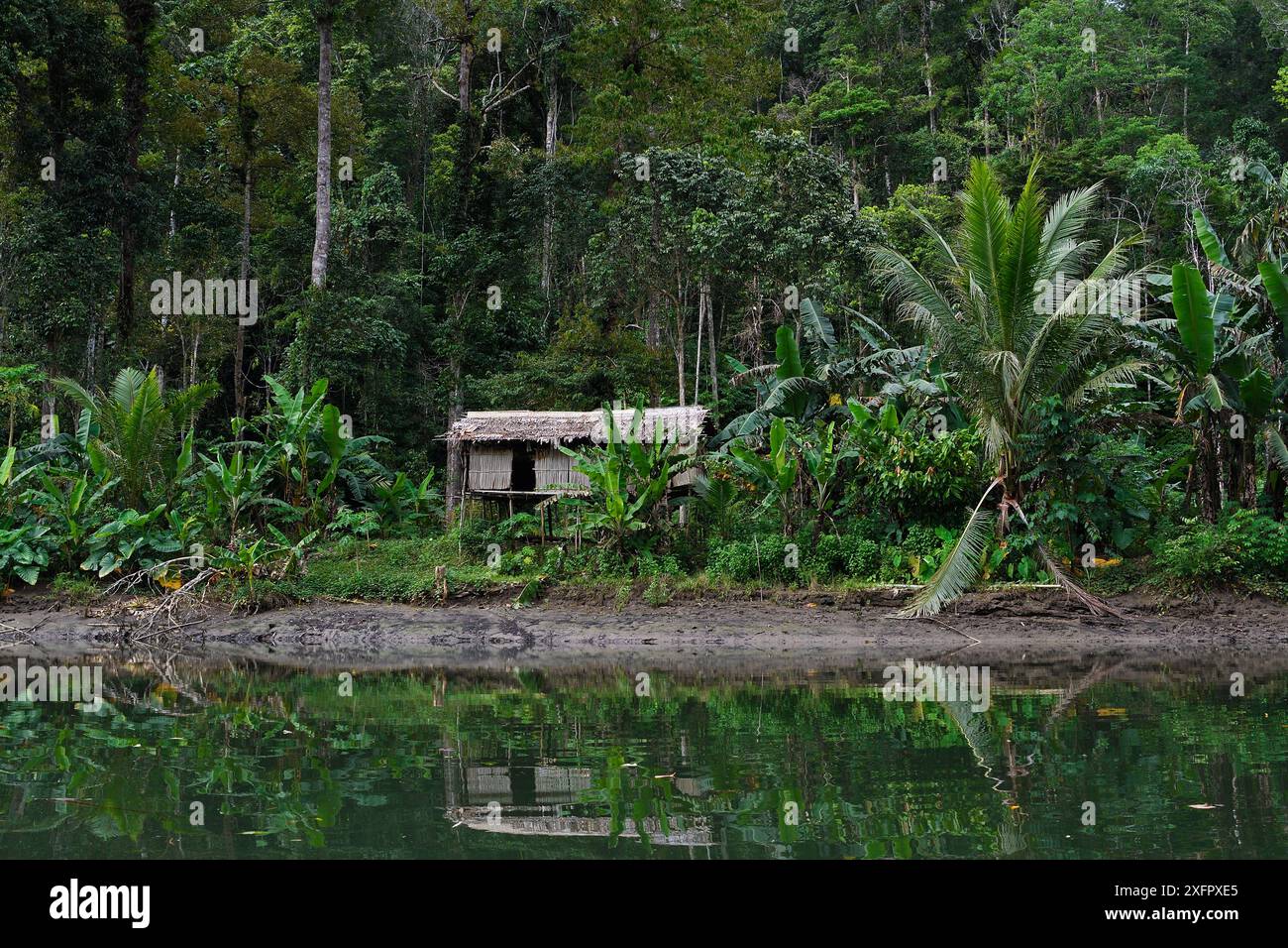 River in rainforest in Misool, Gam river, Raja Ampat, Western Papua ...