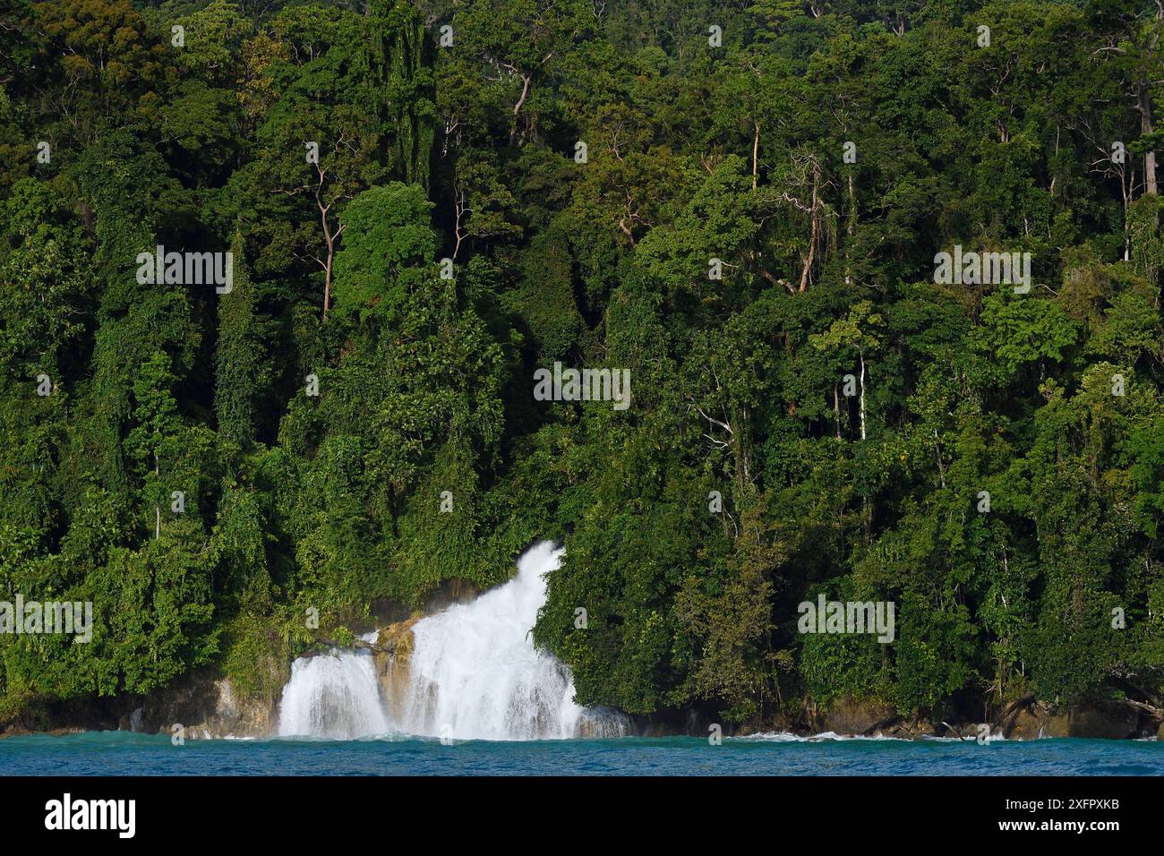 Waterfall spilling into the sea from lowland rainforest, Kumawa ...