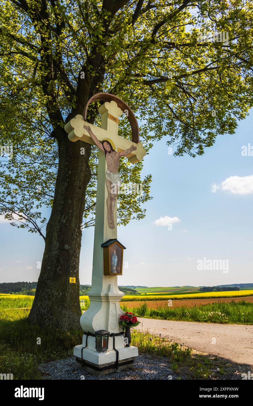 Religious tree hi-res stock photography and images - Alamy