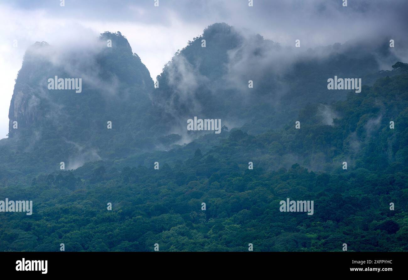 Picos dois Irmaos (Two Brothers peaks) Principe Island, UNESCO ...