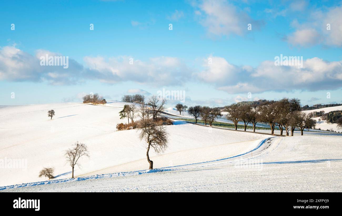 Frost landscape trees agricultural hi-res stock photography and images ...