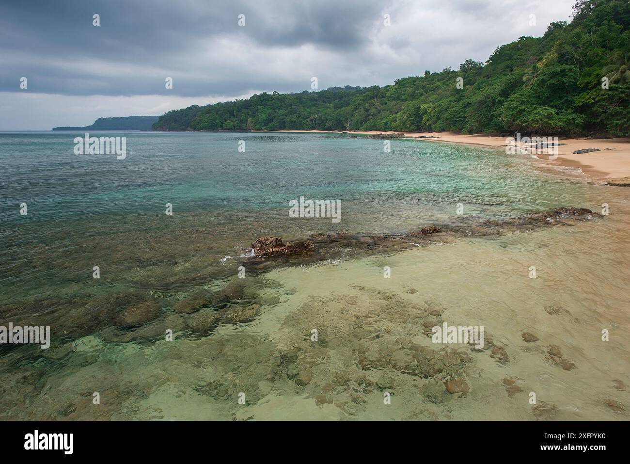 Forest and beach at Principe Island. UNESCO Biosphere Reserve ...