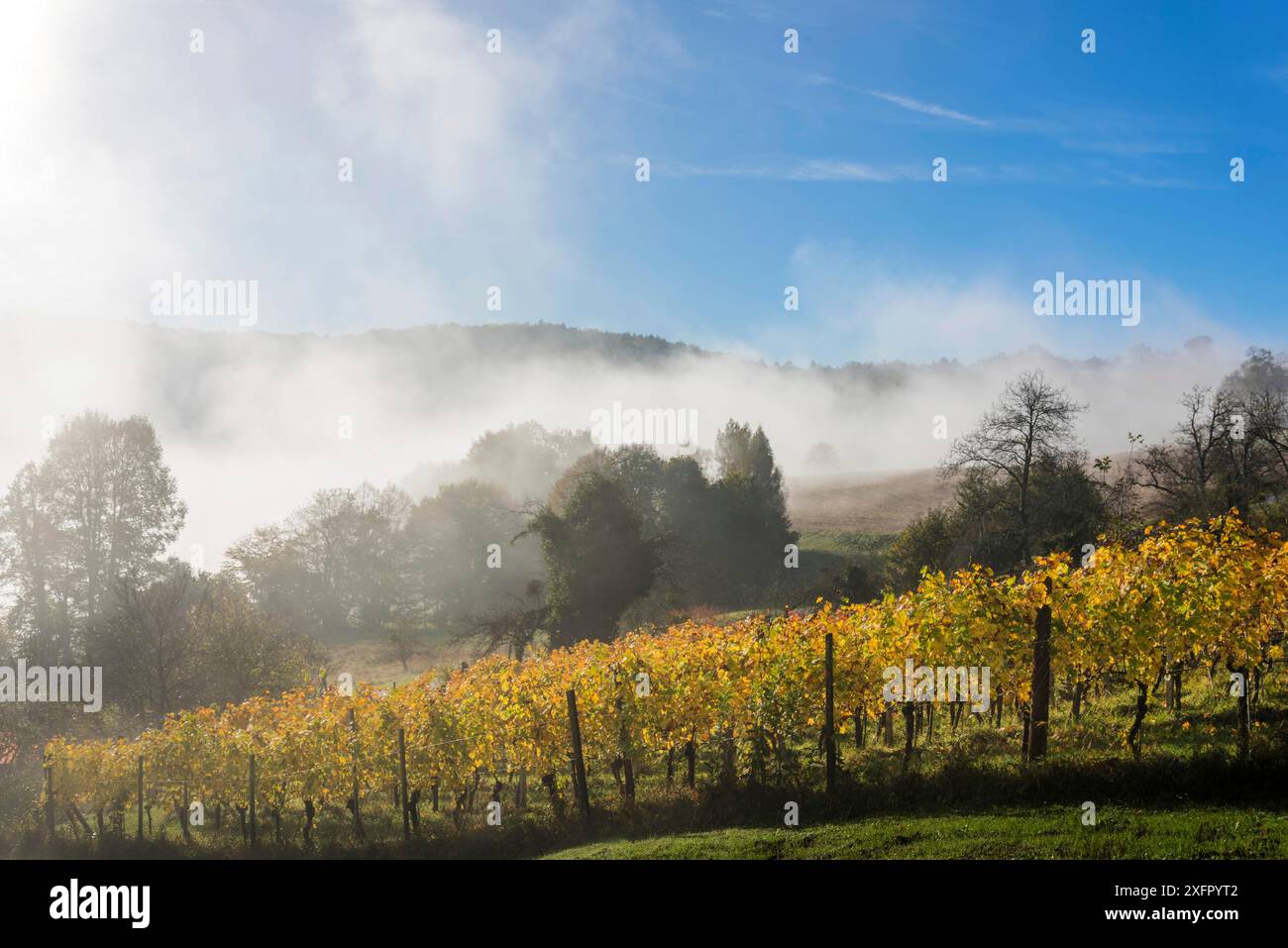 Styria wine region hi-res stock photography and images - Alamy